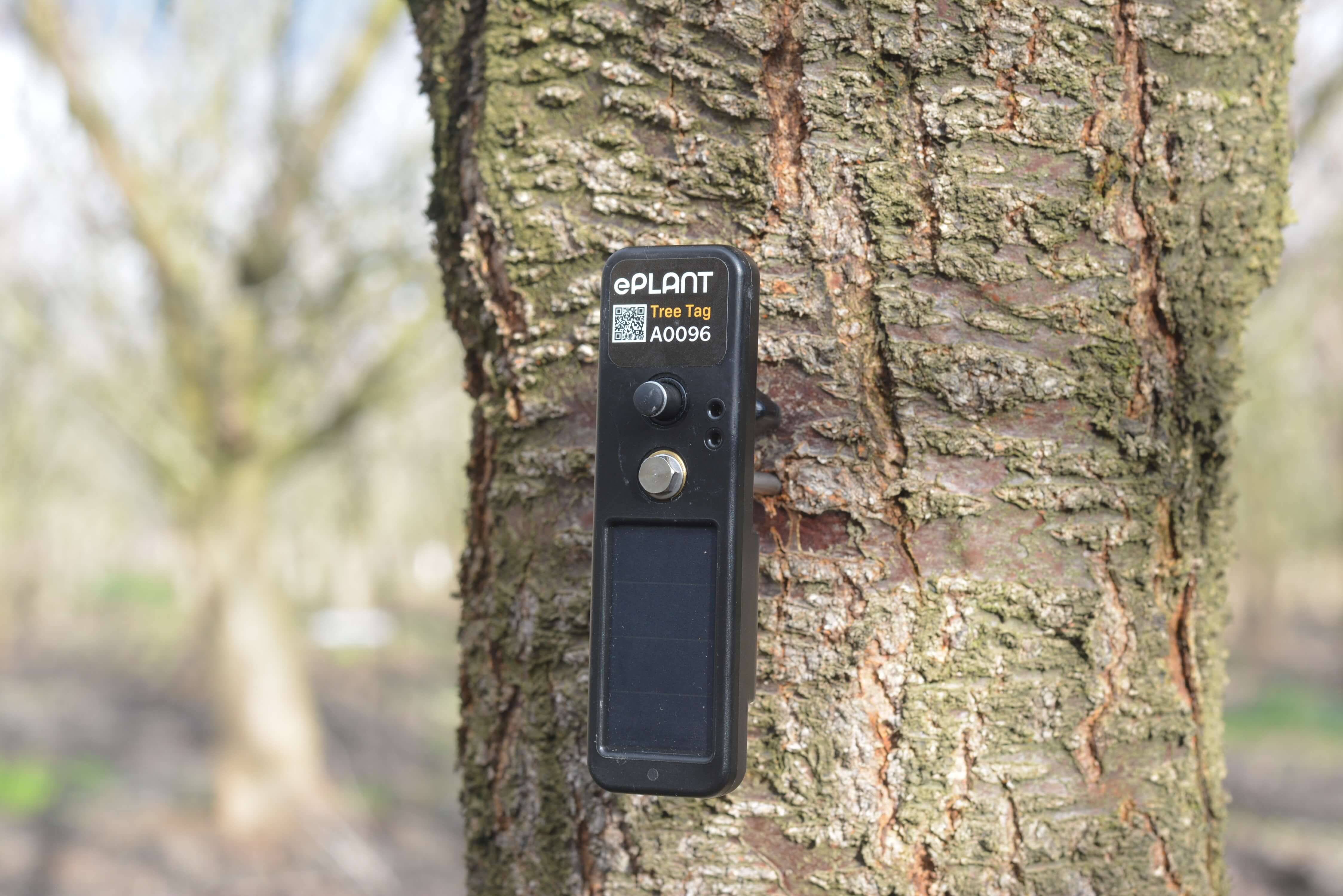 How It Works - ePlant