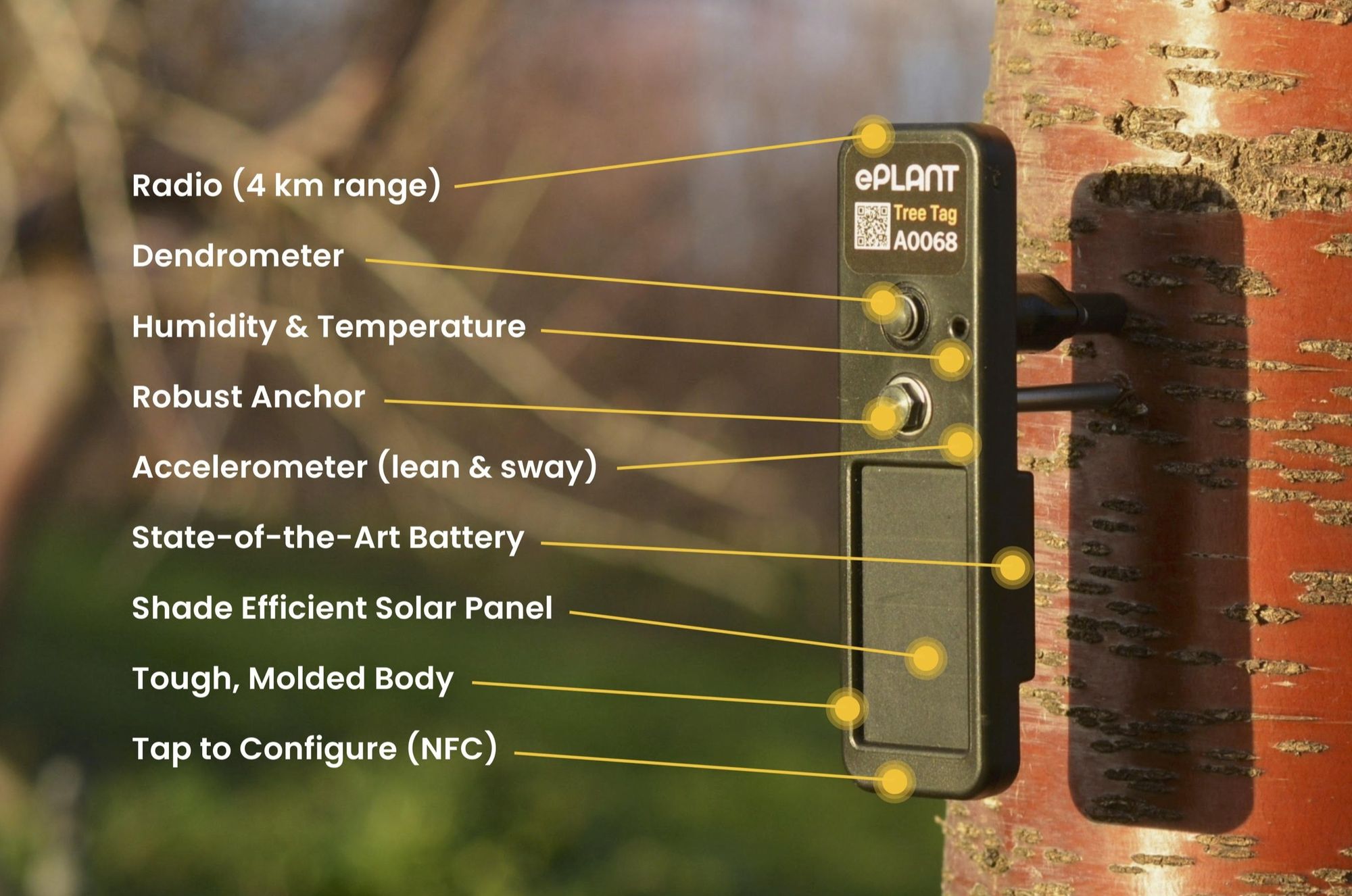 ePlant | How It Works