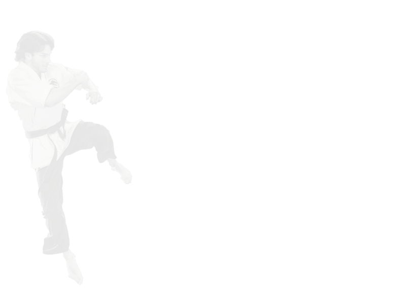 USSD Karate - United Studios of Self Defense