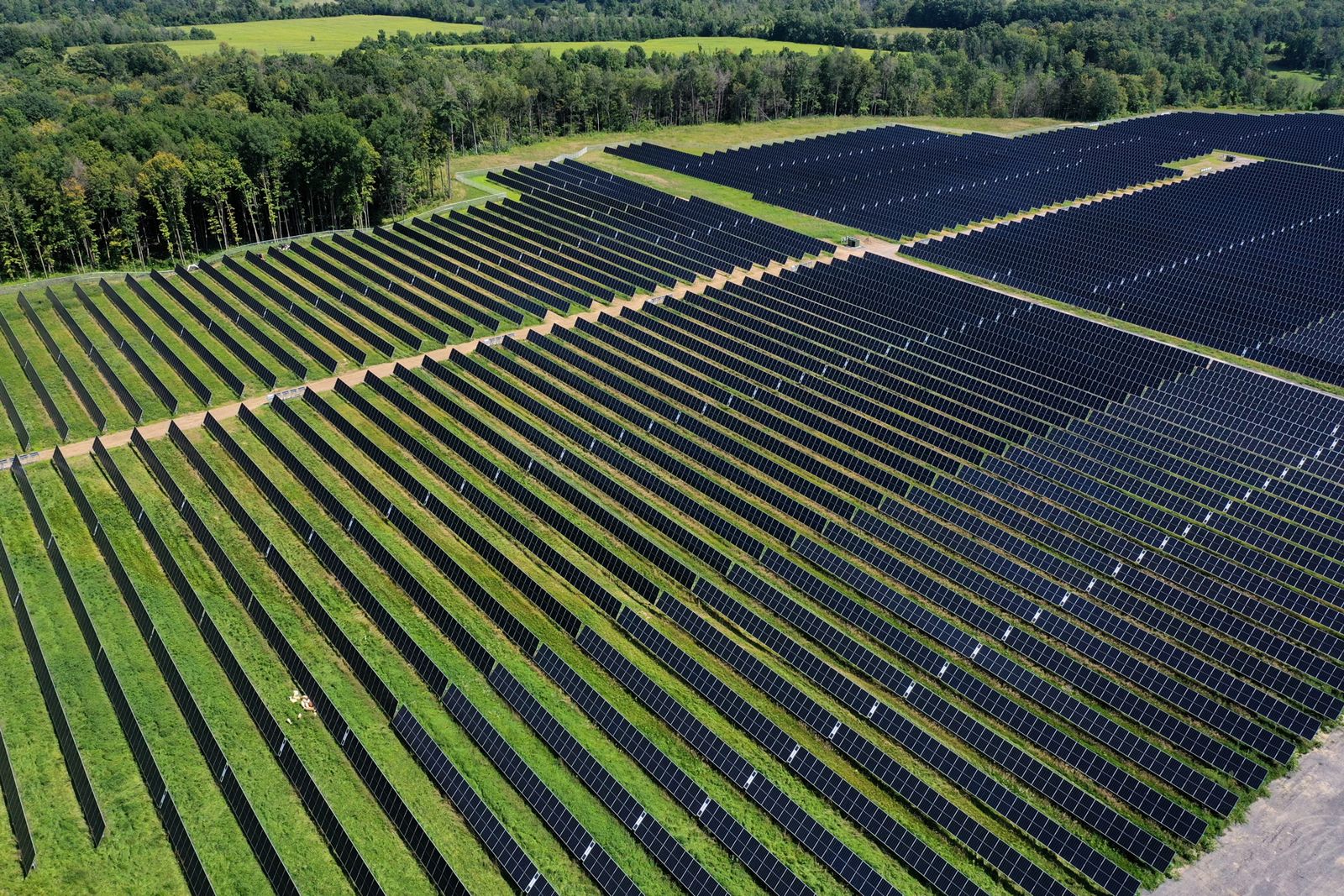 Accelerating the energy transition through sustainable investments ...