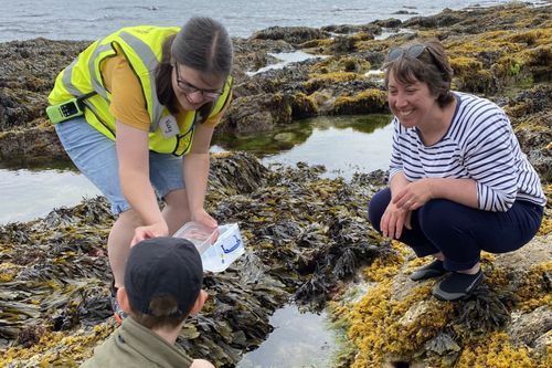 Home - The Rock Pool Project