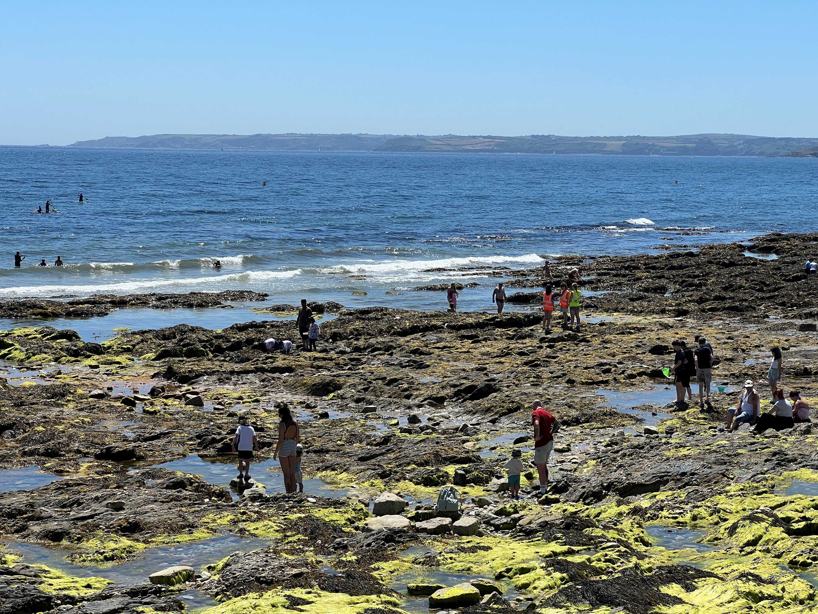 Start a New Hub - The Rock Pool Project