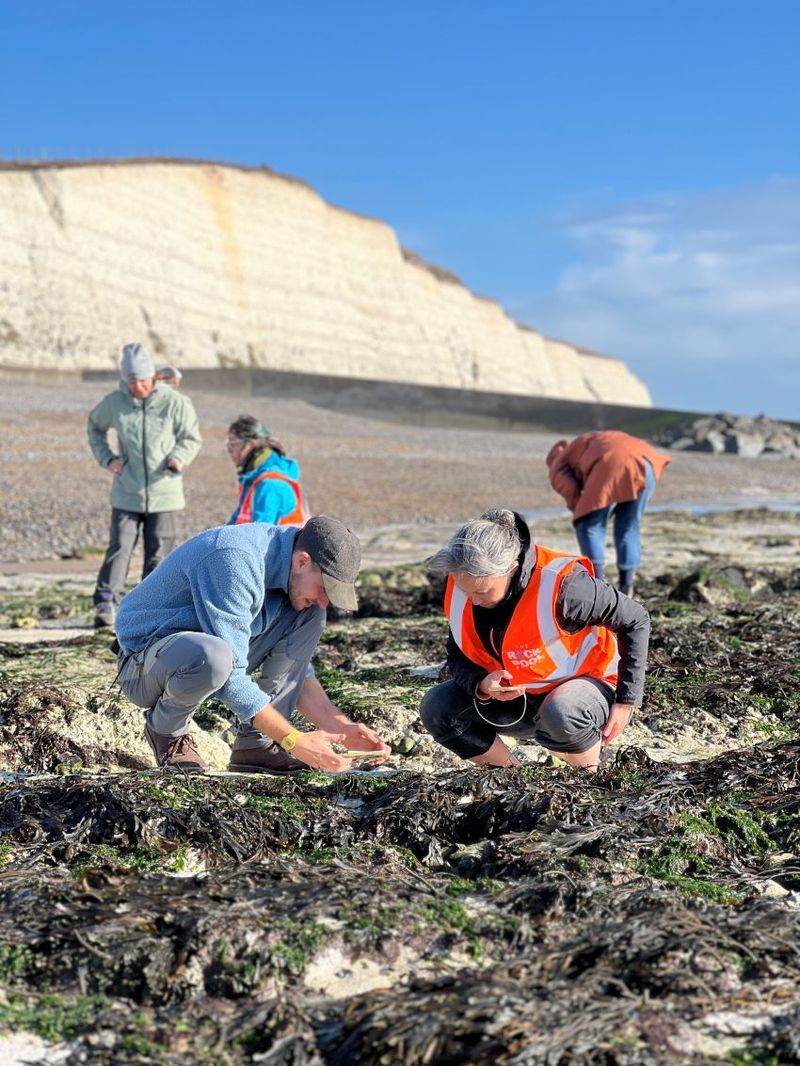 Home - The Rock Pool Project