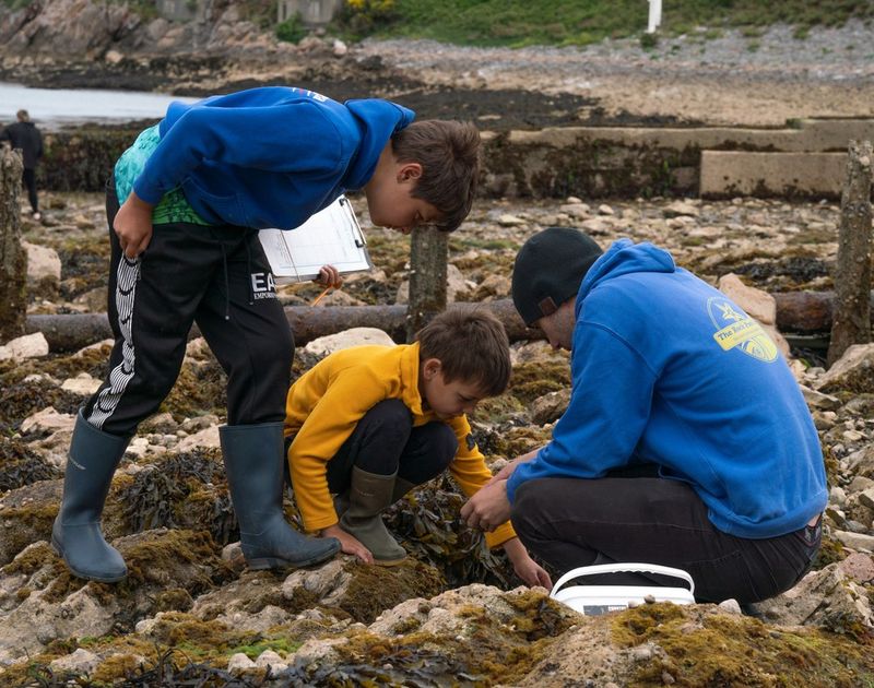 About Us - The Rock Pool Project