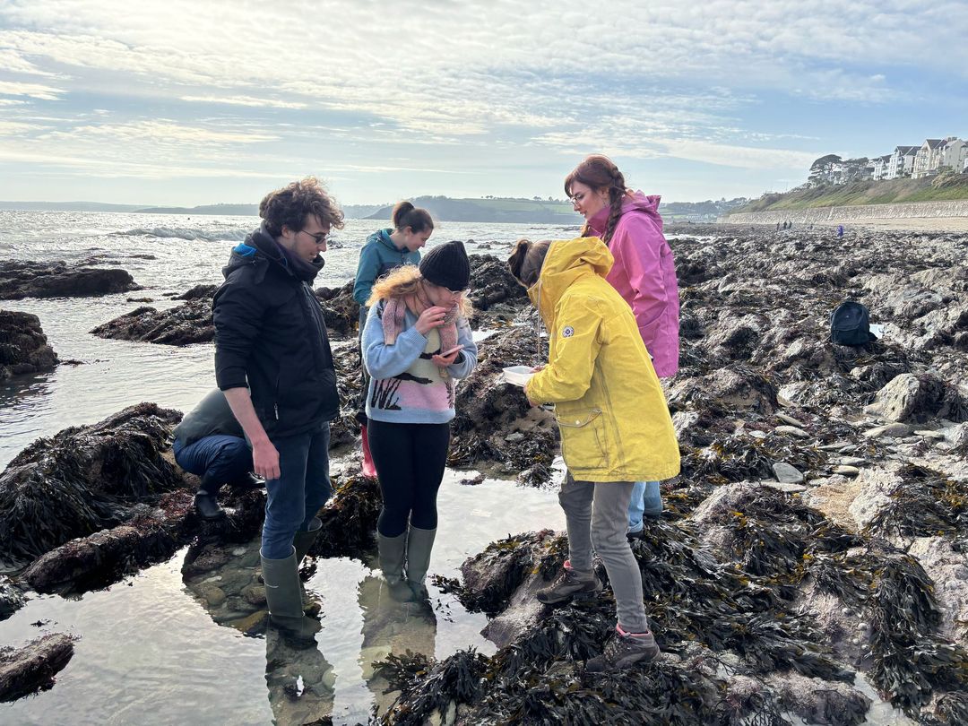 Home - The Rock Pool Project