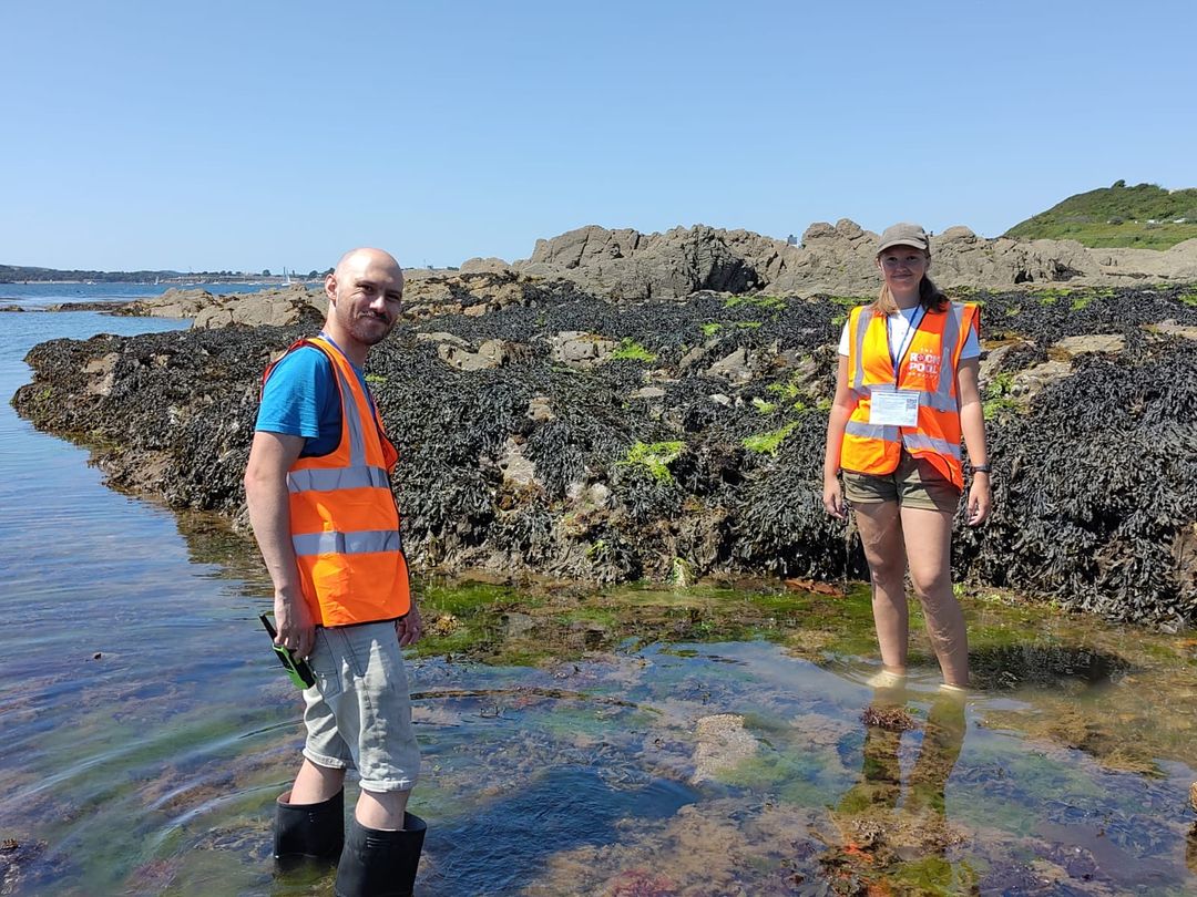 Rainbow sea slug found in a rock pool! - The Rock Pool Project