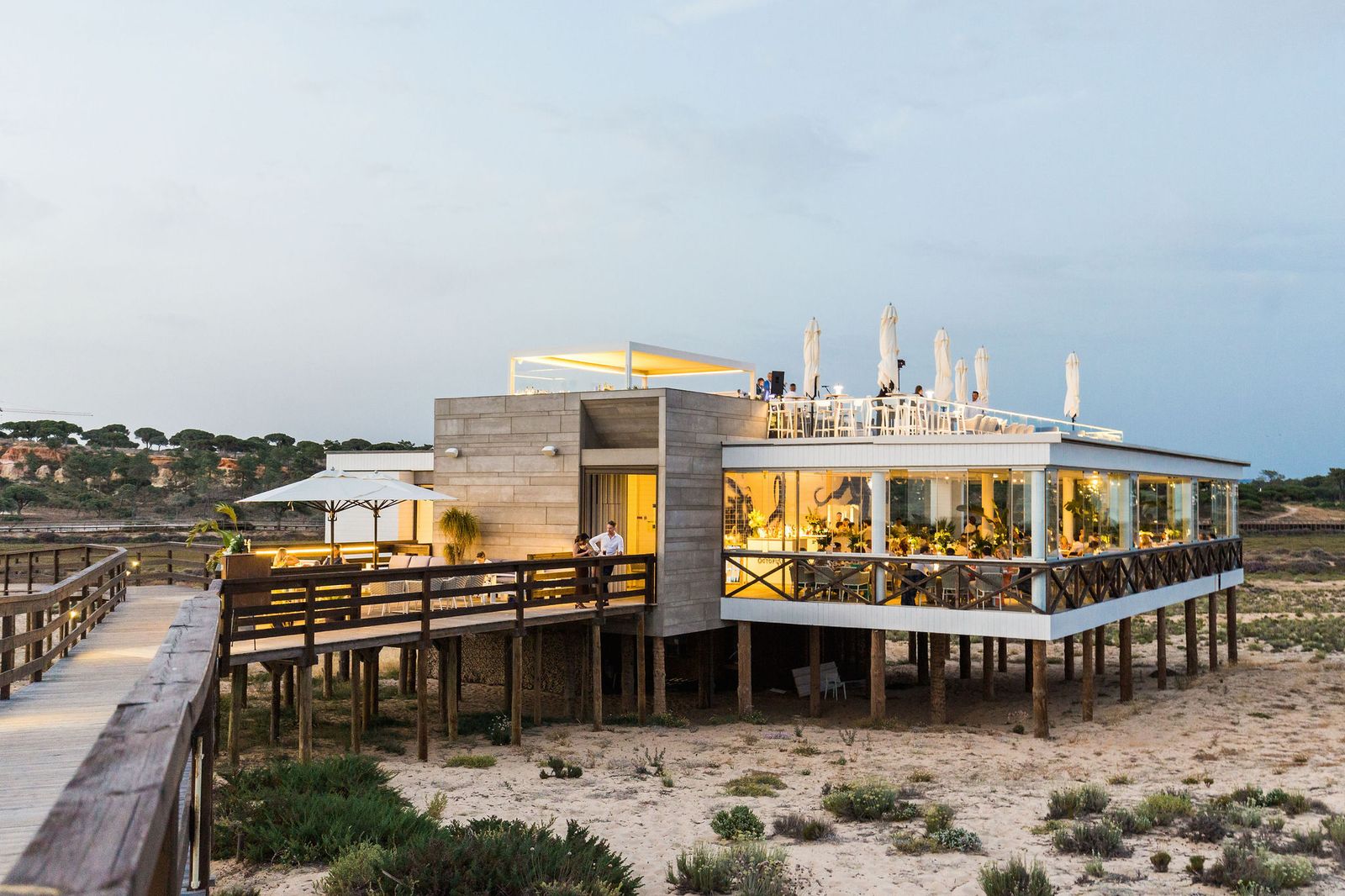 The Bold Octopus - Restaurant
