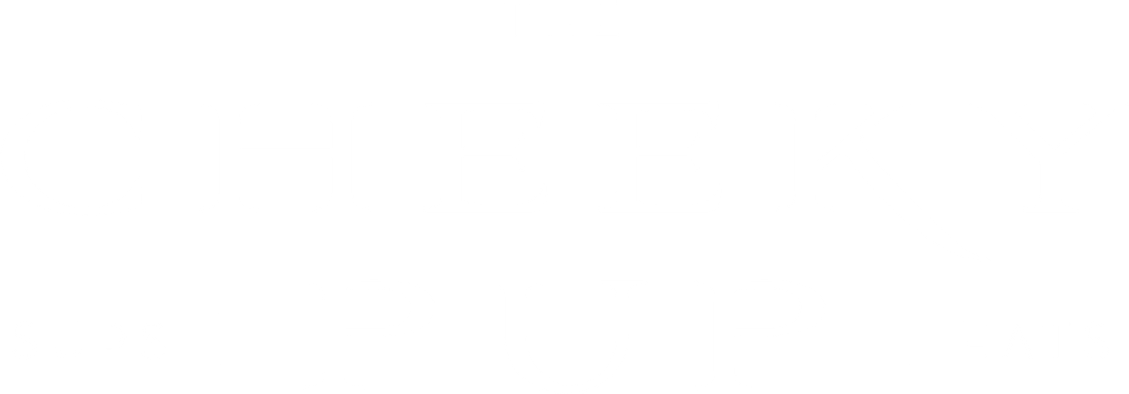 The Bold Octopus - About