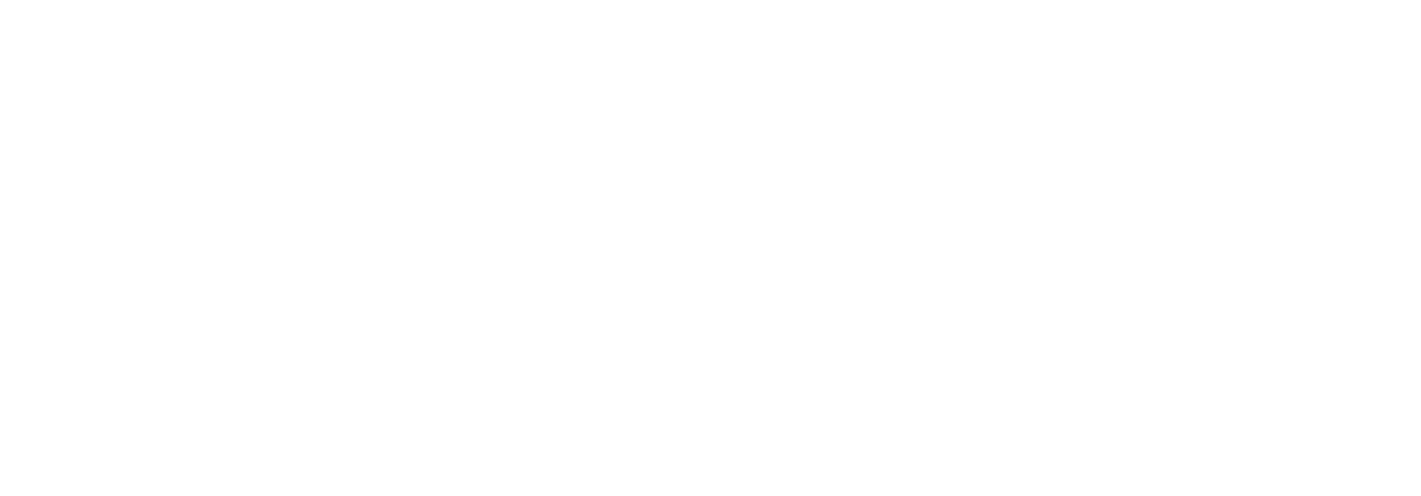 The Bold Octopus - About