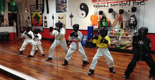 USSD Karate - United Studios of Self Defense
