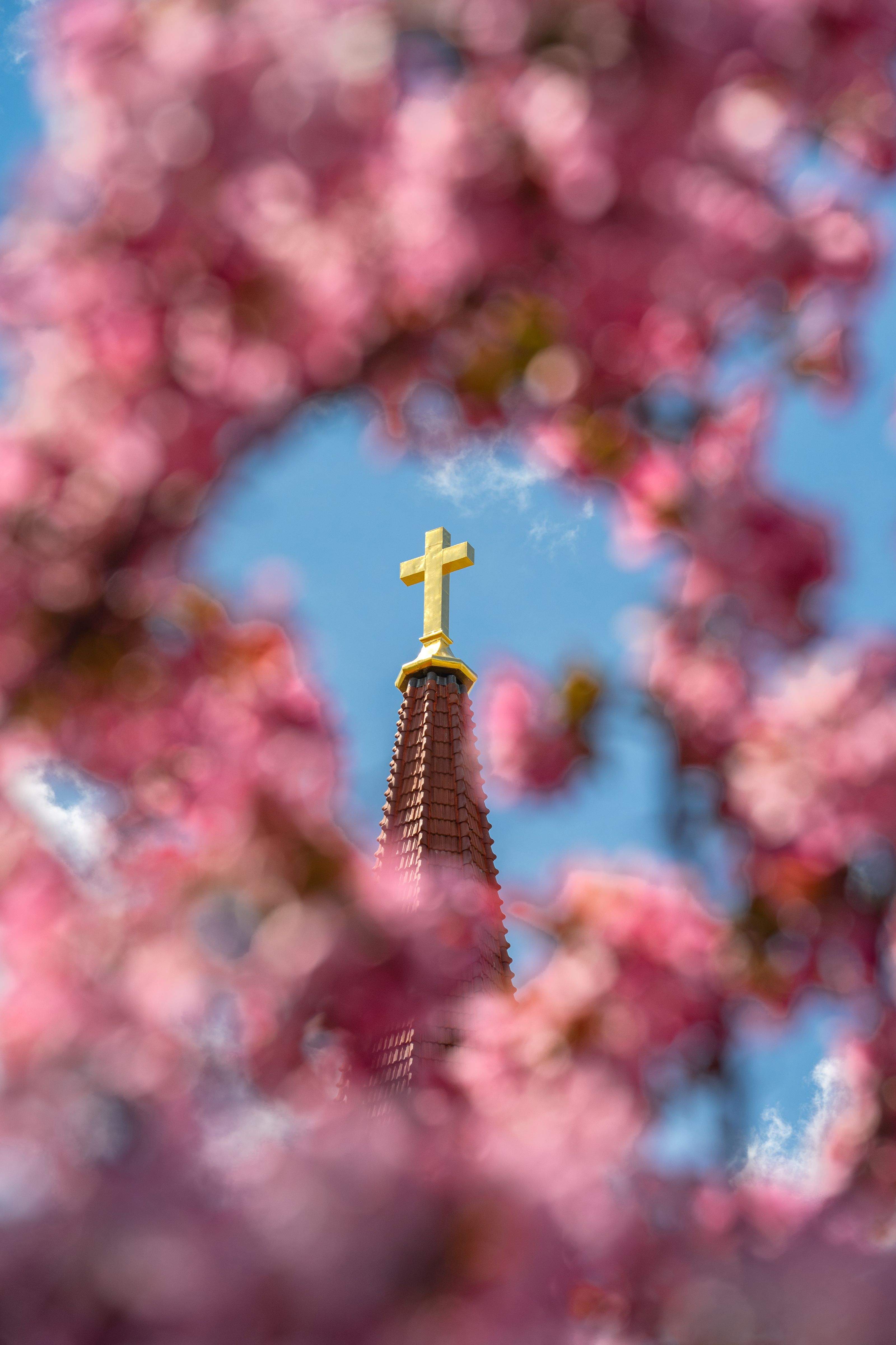 About - Cathedral of St. Helena