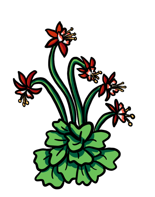 Conserve Wa Conserving Washington Together