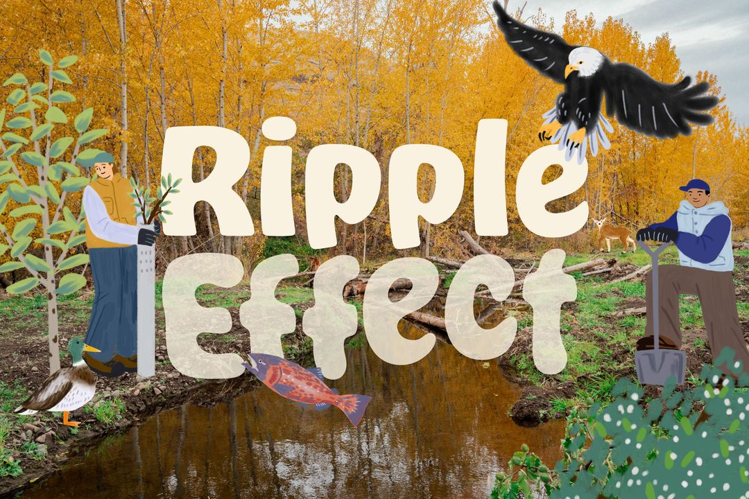 Conserve WA | Conserving Washington Together