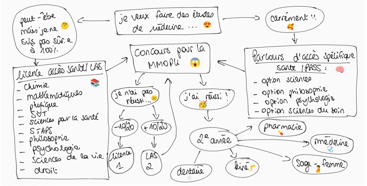 PASS ou LAS : le guide complet pour choisir selon ton profil (sans te tromper) | Hippocast
