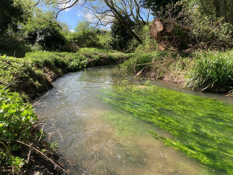 Norfolk Rivers Trust