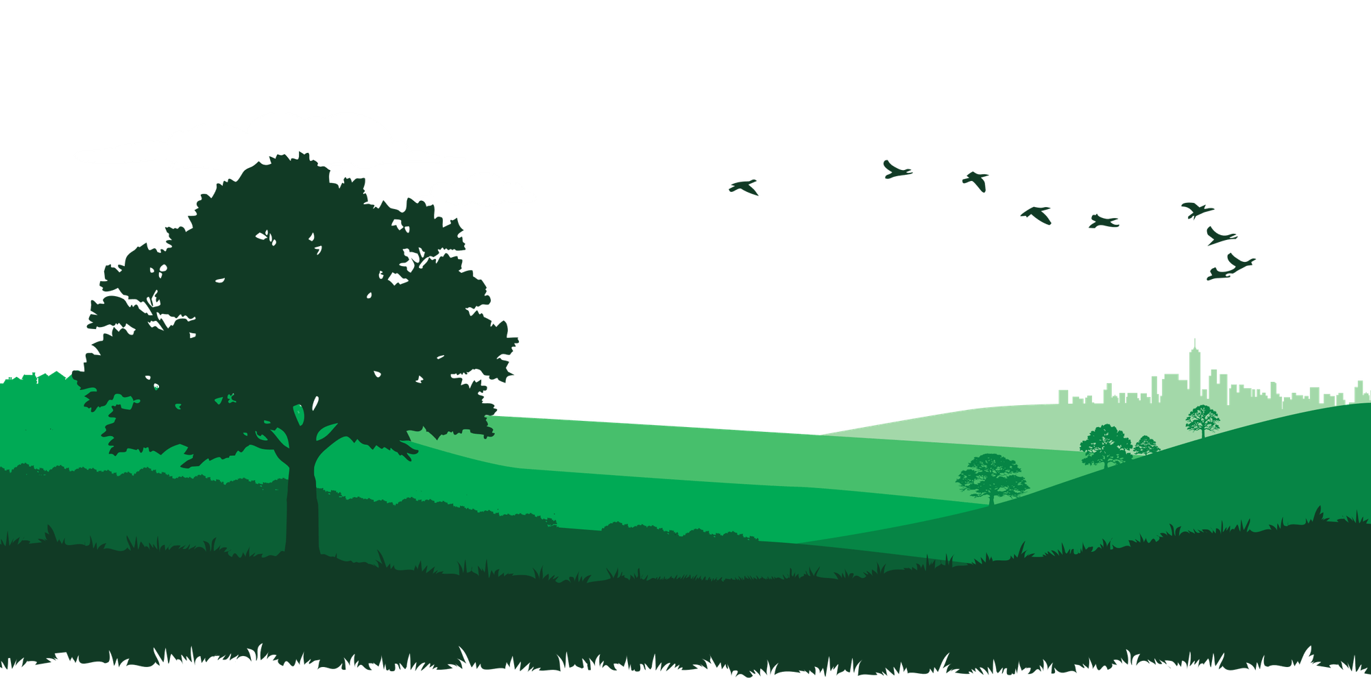 Convo Call — The Next-Generation VRS App