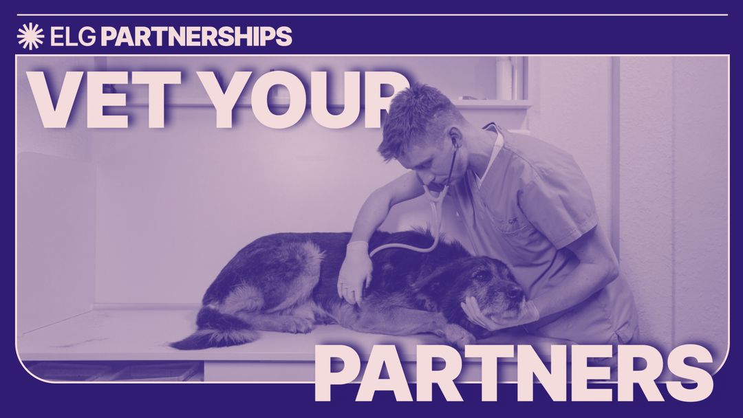 Partnerships 101: What is Partner Marketing