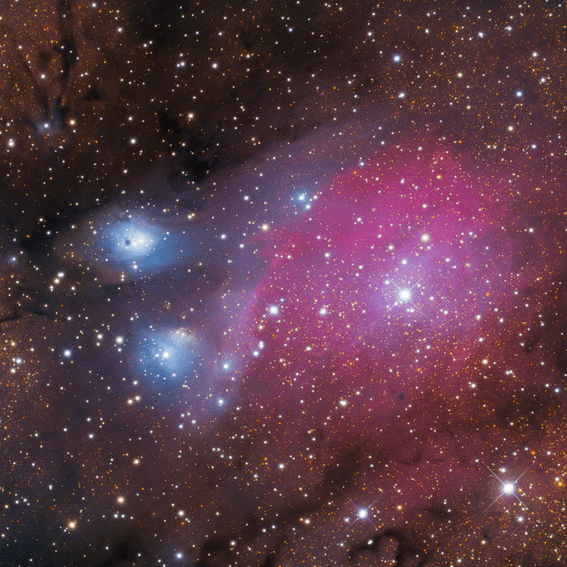 FLI Scientific Cameras | Low-Noise Imaging for Astronomy & Life Sciences