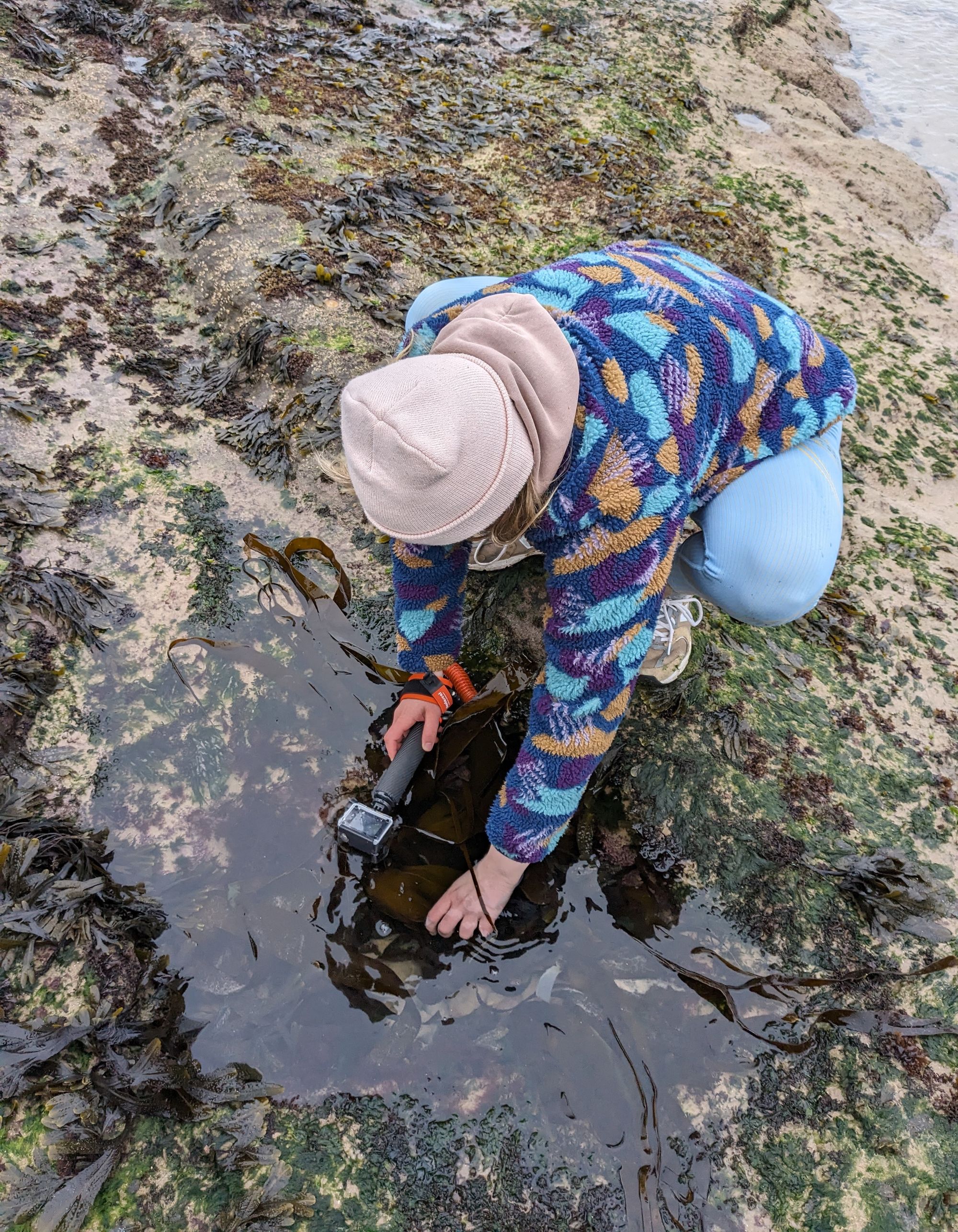 Moray Ocean Community | Marine Conservation in the Moray Firth