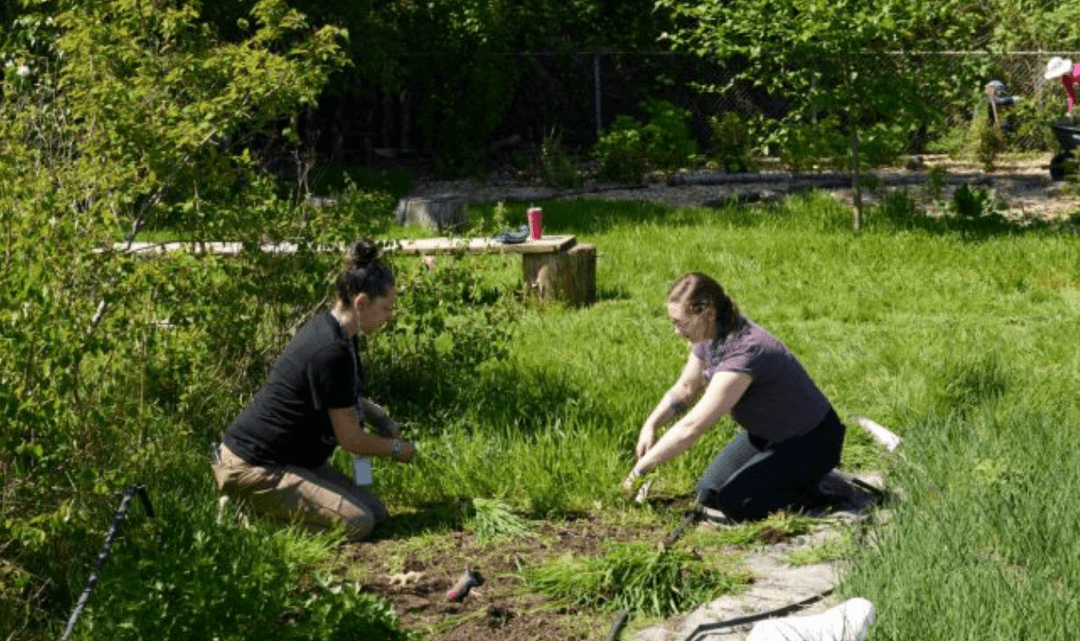 Green Workforce Academy