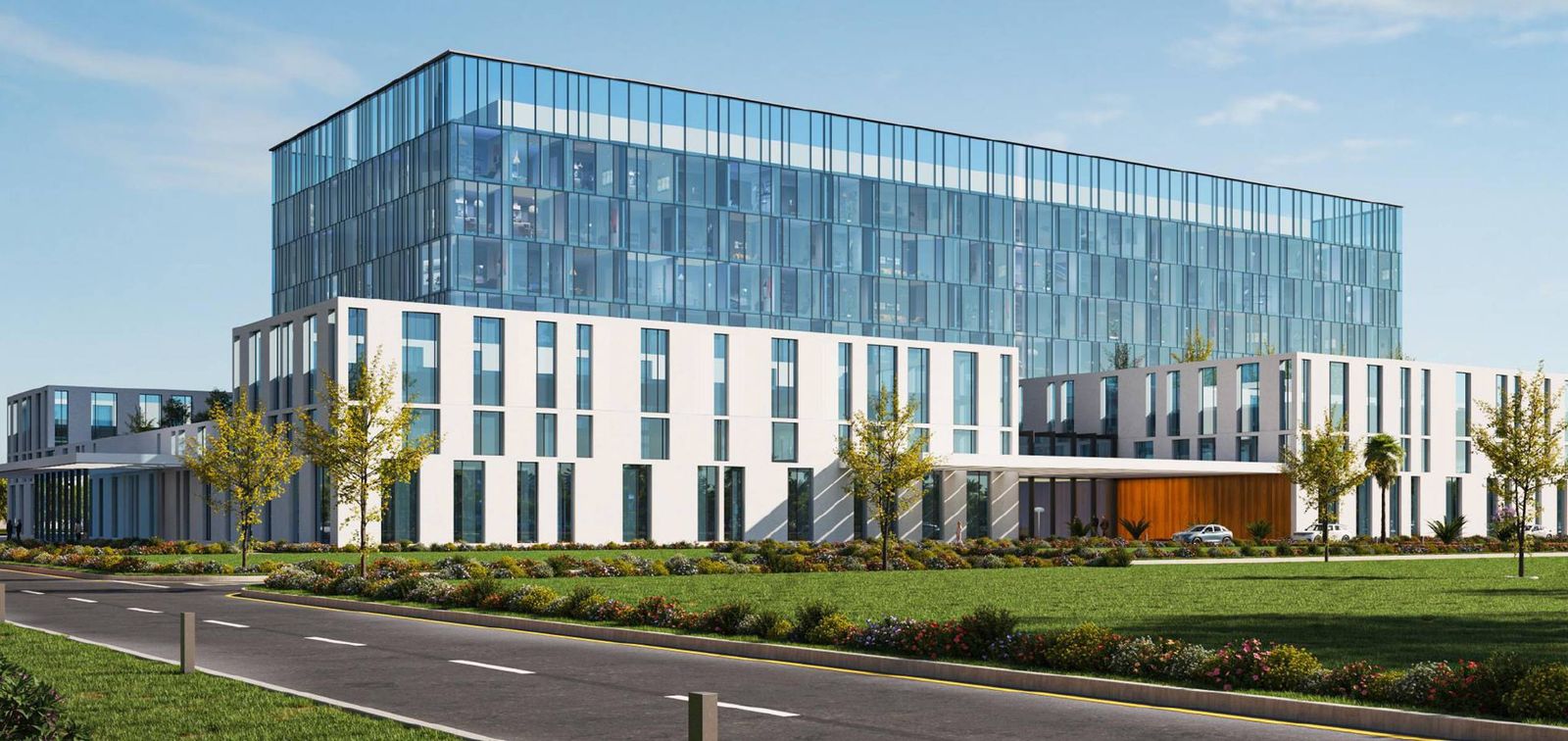 Joseph Hazel | Executive Management