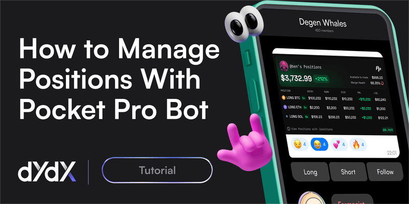 How to Manage Your Open Positions with the Pocket Pro Bot (powered by dYdX)