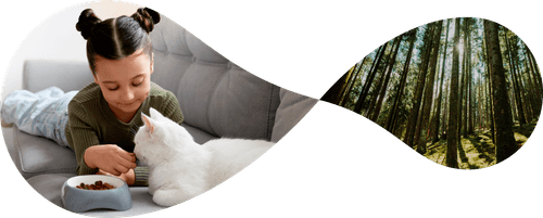 Gambol Pet Food | Innovation Beyond Ideas