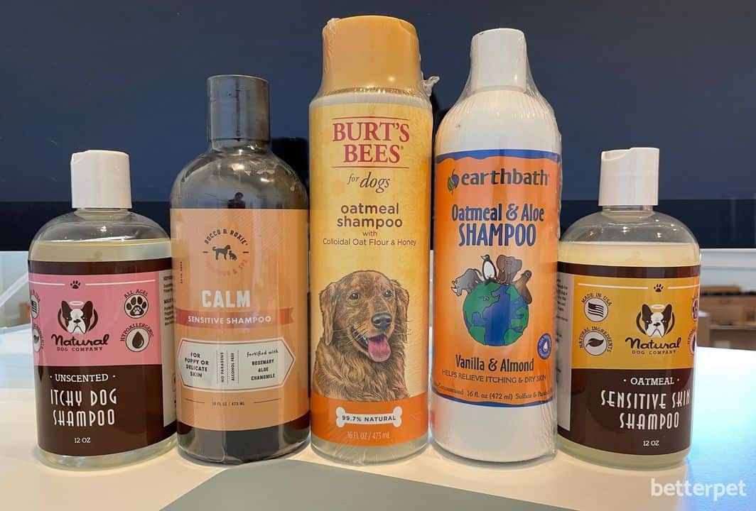 Safe dog shampoo store