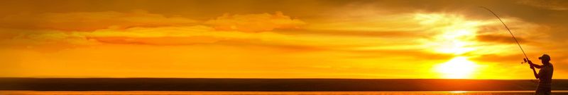 Best Saltwater Fishing Baits & Lures | Fishbites® Official Store