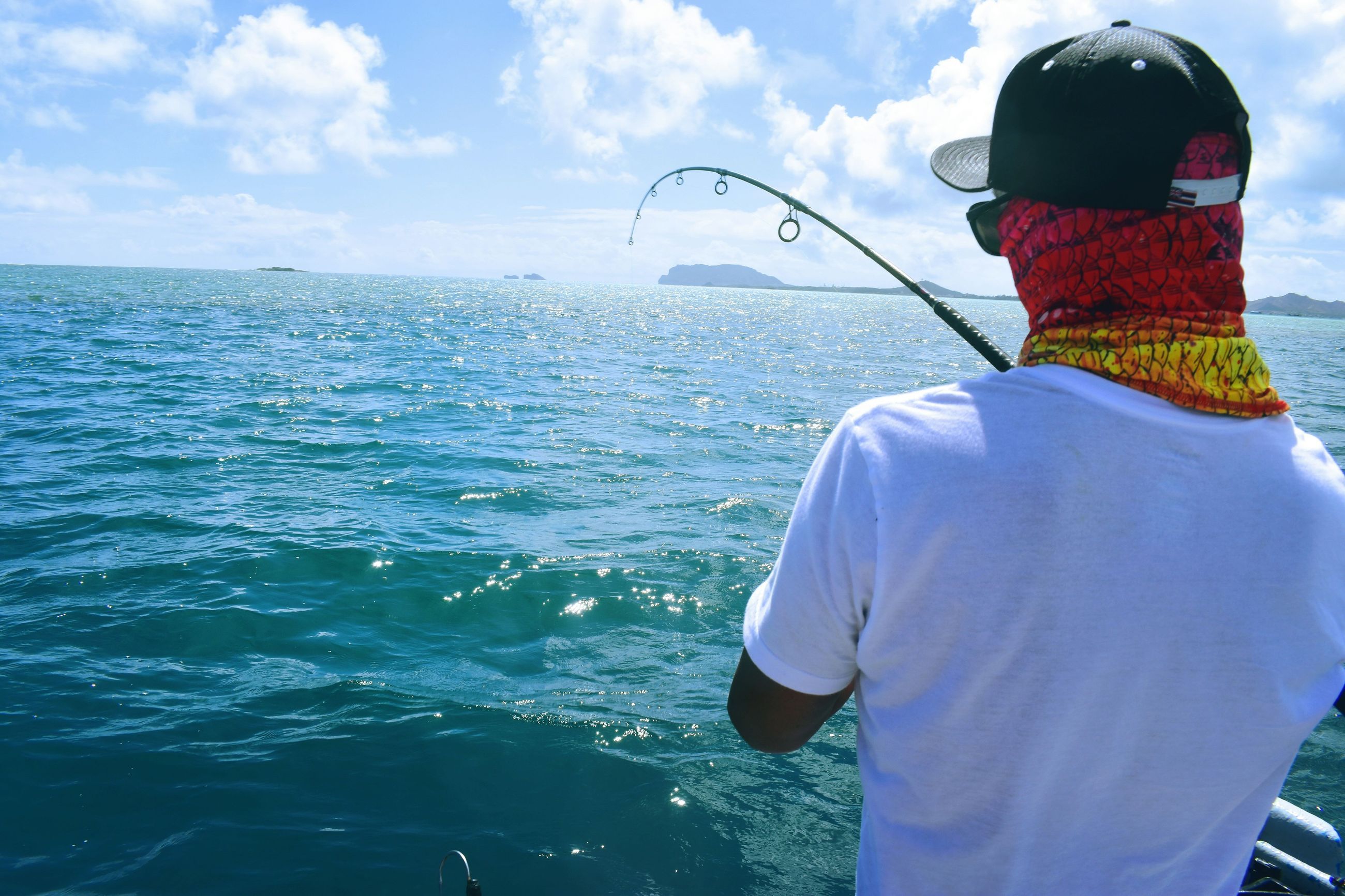 Fishbites® | Top Artificial Fishing Bait & Lures for Saltwater & Freshwater