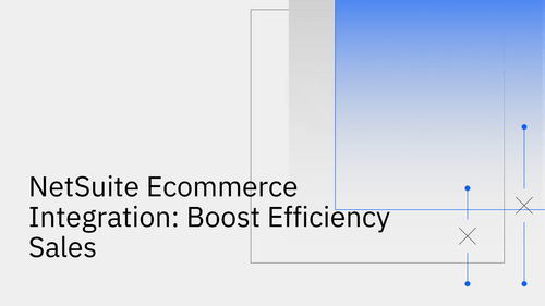 NetSuite Ecommerce Integration: Boost Efficiency & Sales