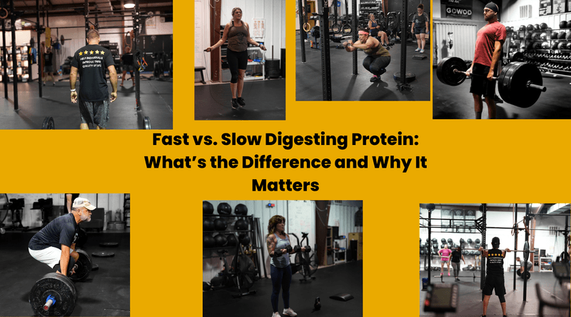 Ground Zero Fitness | Fast vs. Slow Digesting Protein: What’s the ...