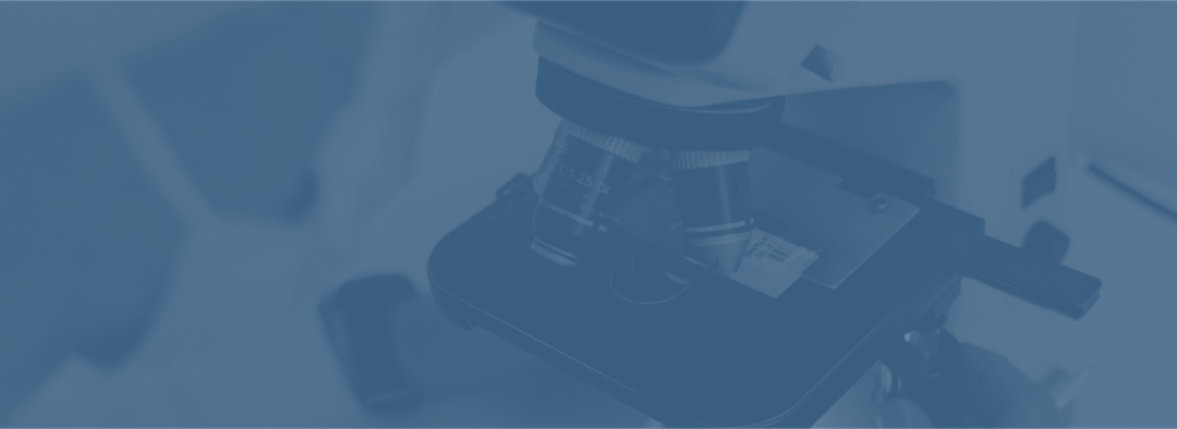 GRAY FOUNDATION – Advancing BRCA Science. Empowering NYC Youth.