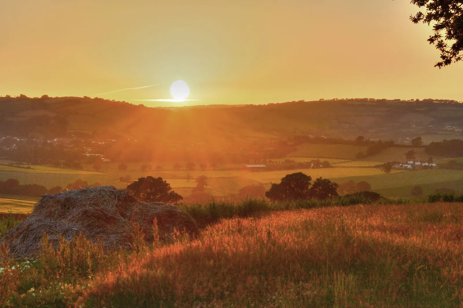 Somerset Day 2025 | Somerset Day