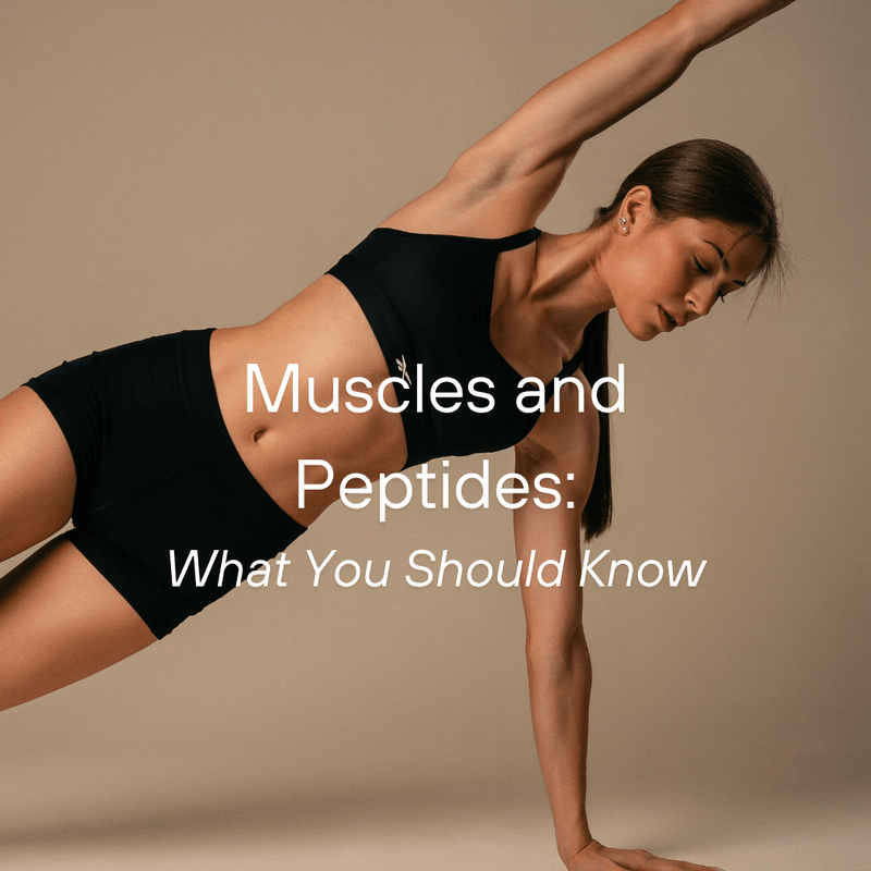 Muscles and Peptides: What You Should Know | MAKE