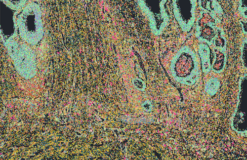 G4X Spatial Sequencer