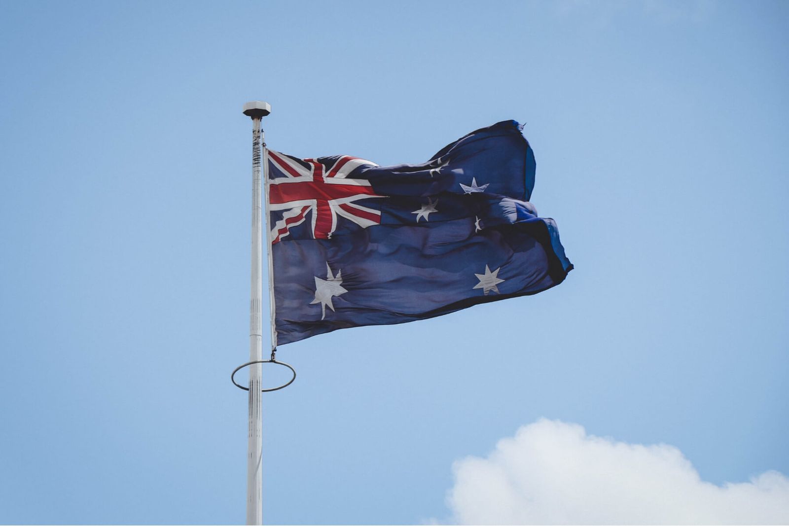 Elections 101: The Major Parties