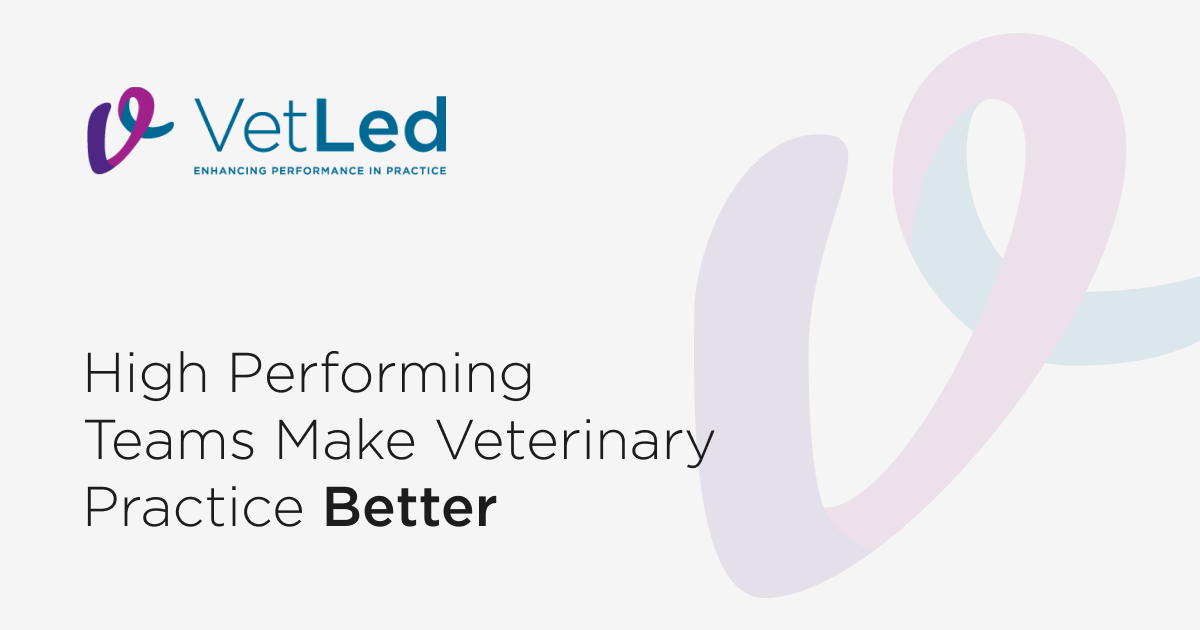 Veearts Logo Vetled Veterinary Human Factors Training & Consultancy,