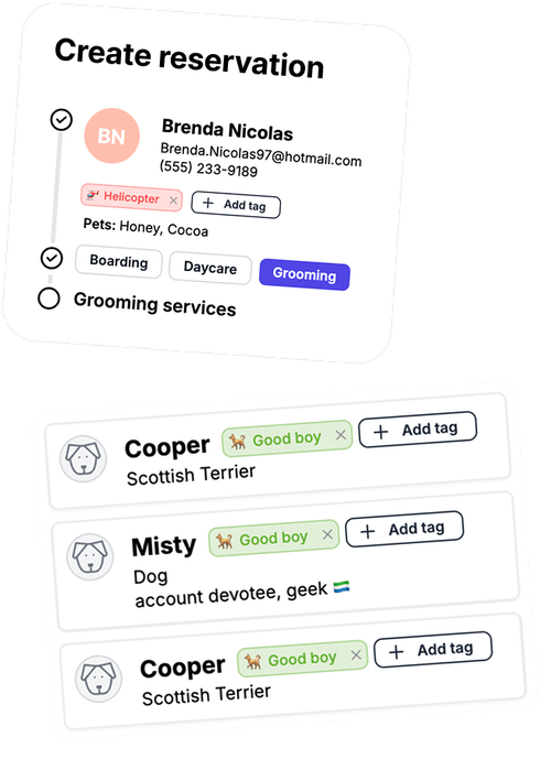 All About the Samusky Breed: The Ultimate Guide to the Samoyed Husky ...