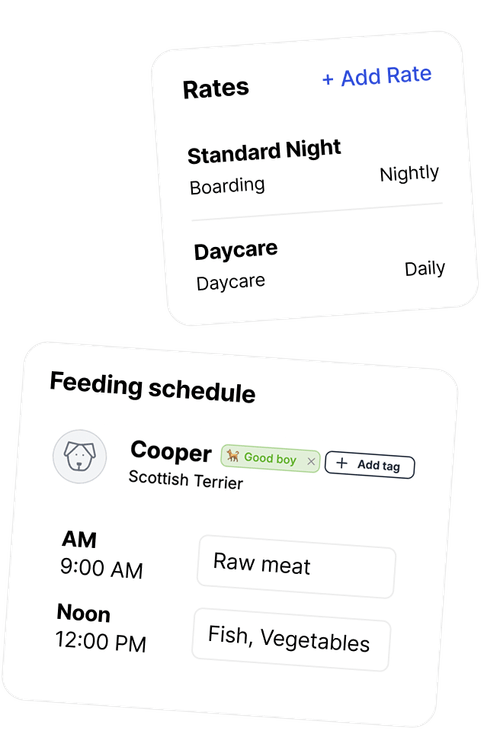 All About the Samusky Breed: The Ultimate Guide to the Samoyed Husky ...