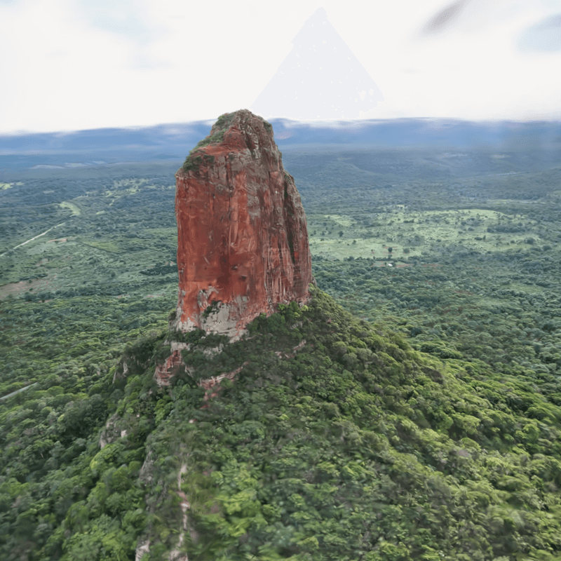 Free 3D Gaussian Splatting Tool | Polycam