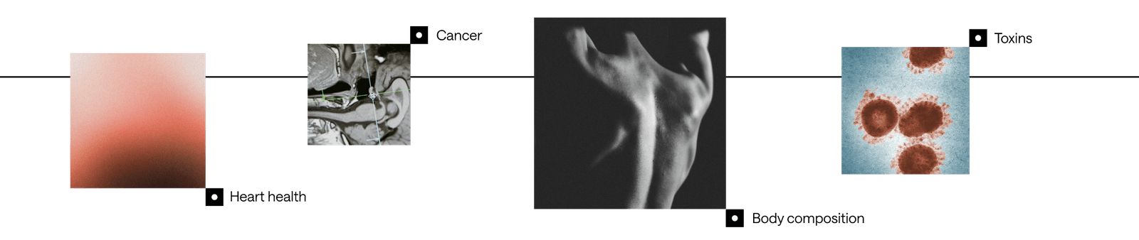 Everlab – Australia’s leading personal longevity clinic.