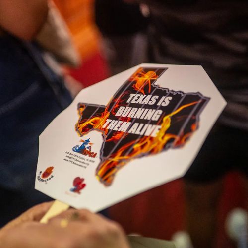 Christopher Blackwell | Award-Winning Journalist & Criminal Justice ...