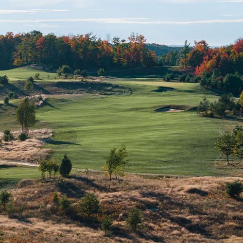 The Tree Farm Golf Course Profile