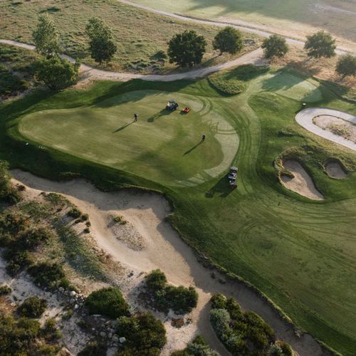 First Reactions to Wild Spring Dunes in Texas