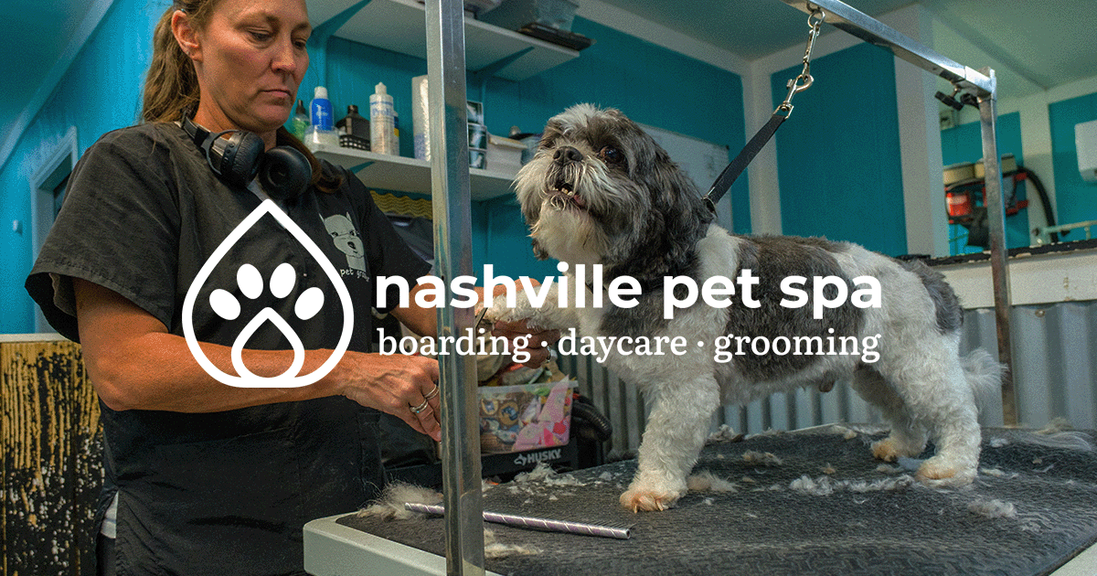 Dog Grooming Mt Juliet Tn