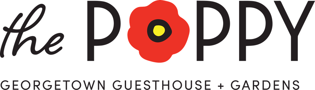 The Poppy