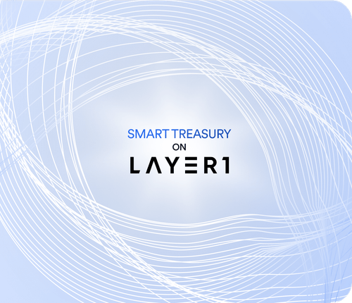 Global treasury management: a comprehensive guide | BVNK Blog