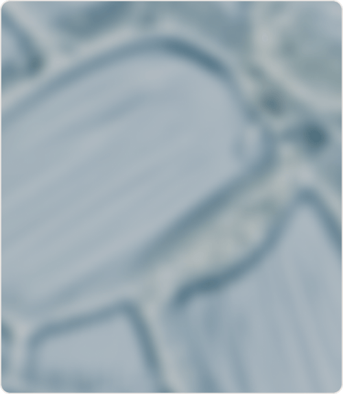 VapoMeter – Portable TEWL Meter – Delfin Technologies