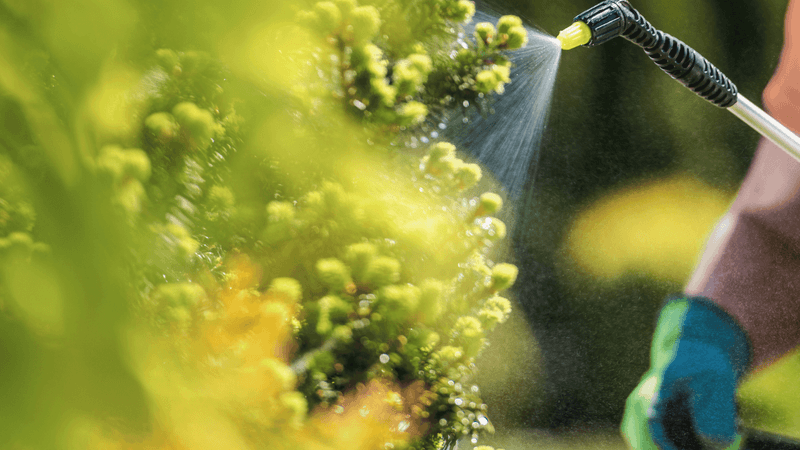 Contact Spidexx | Expert Pest Control & Exterminator Service